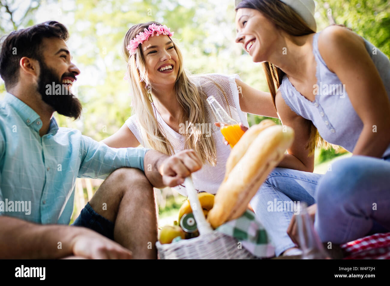 Friends having fun picnic hi-res stock photography and images - Alamy