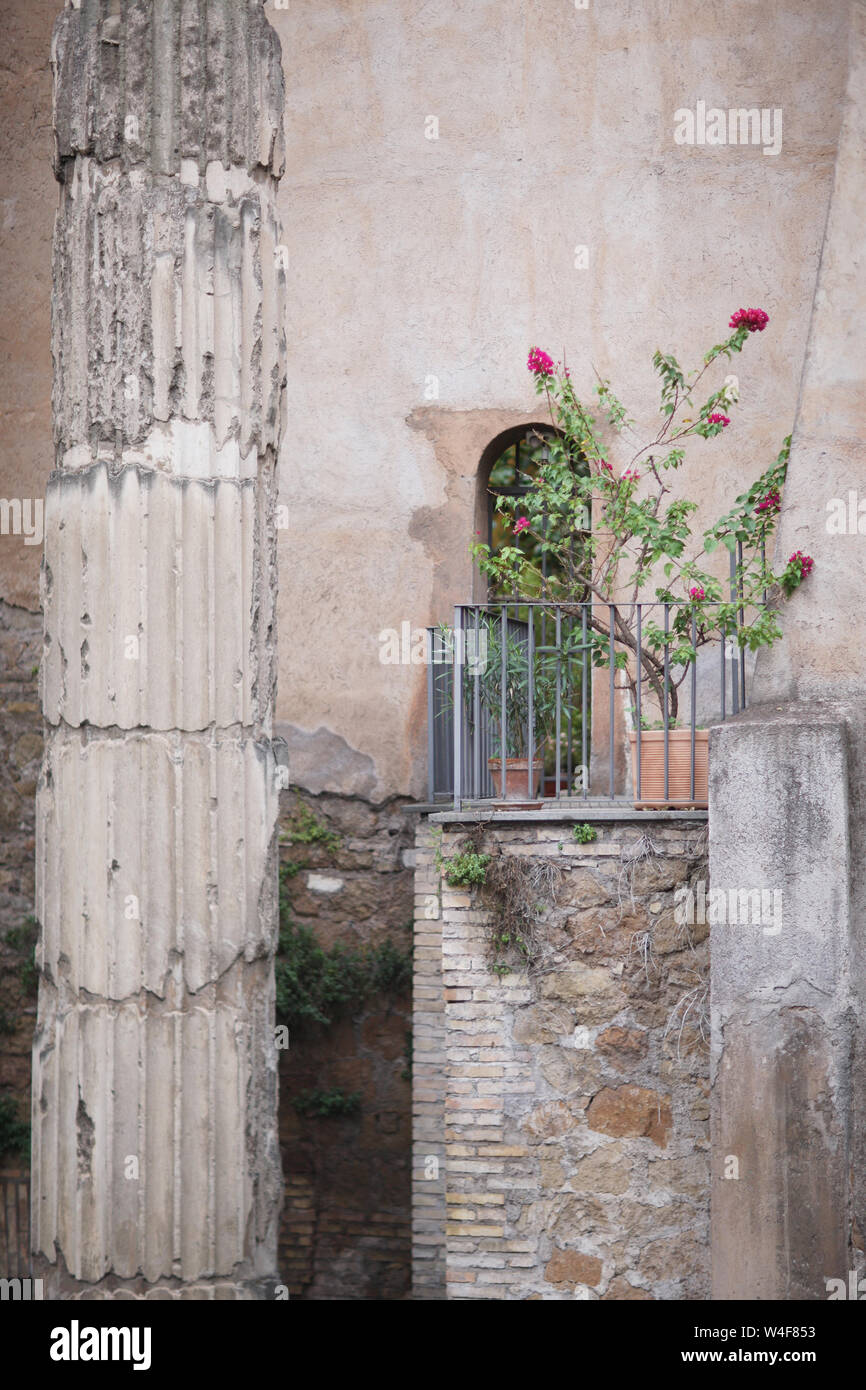 Italy Rome Balcony Flowers High Resolution Stock Photography and Images ...