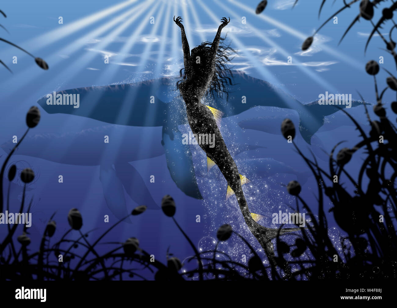 Mythical sea creatures hi-res stock photography and images - Alamy