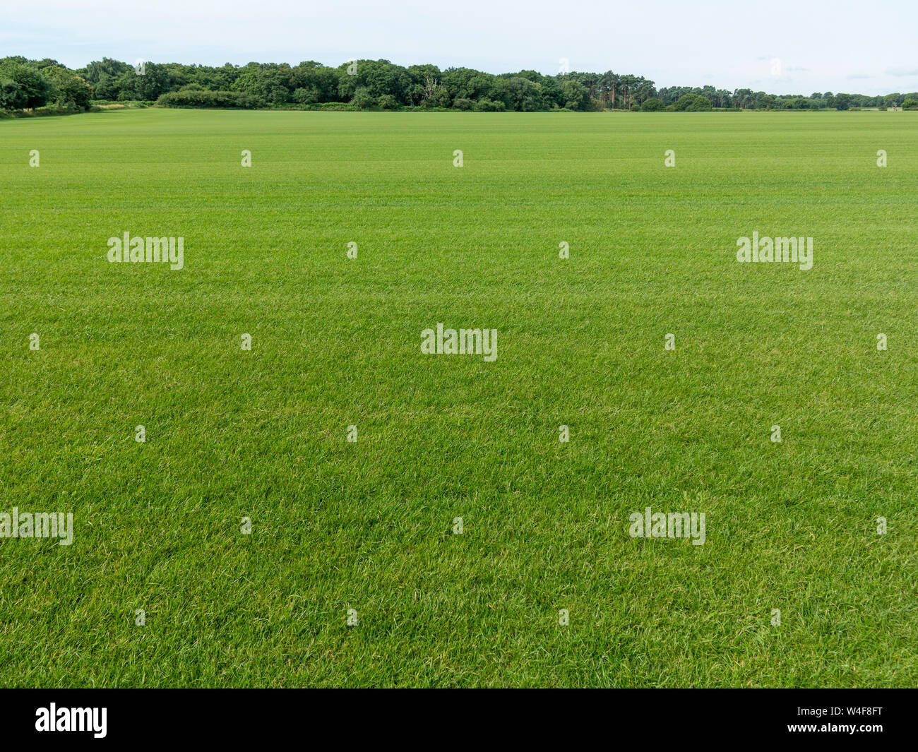 Commercial green farming hi-res stock photography and images - Alamy