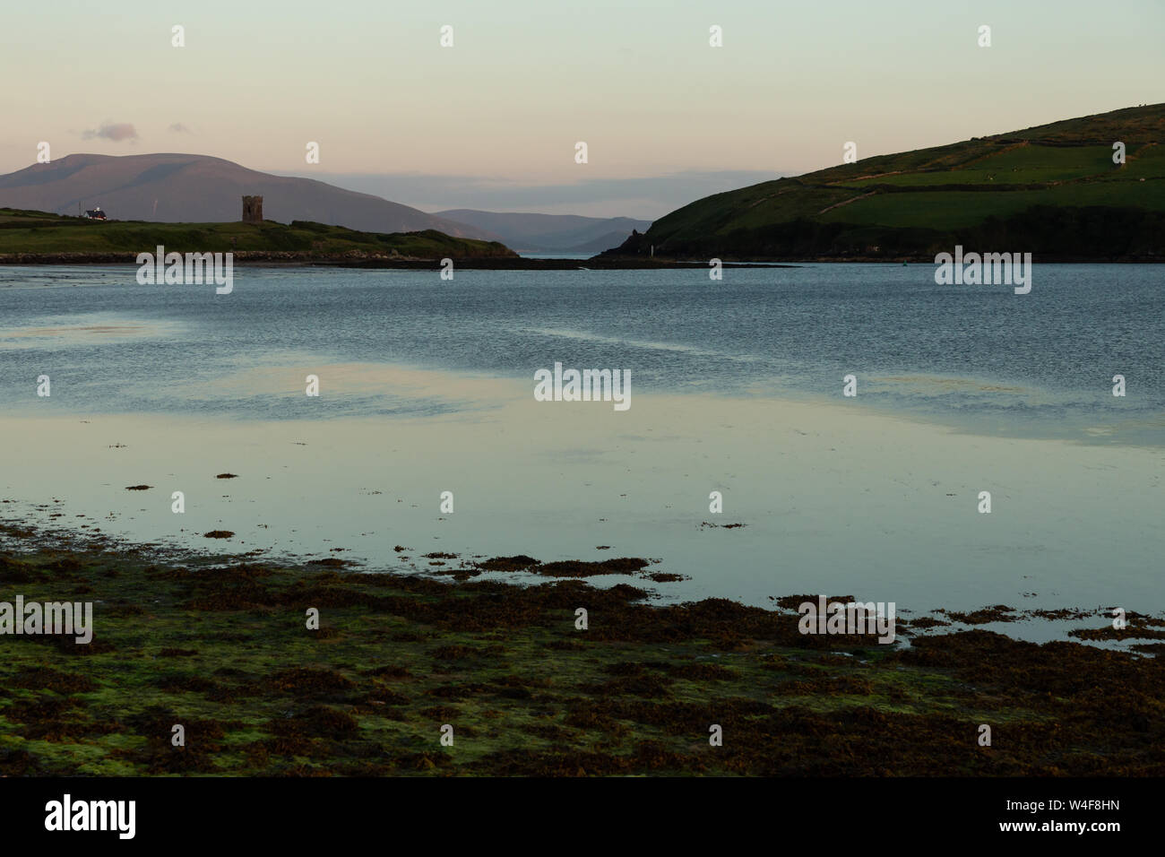 Dingle Bay at sunset Stock Photo - Alamy