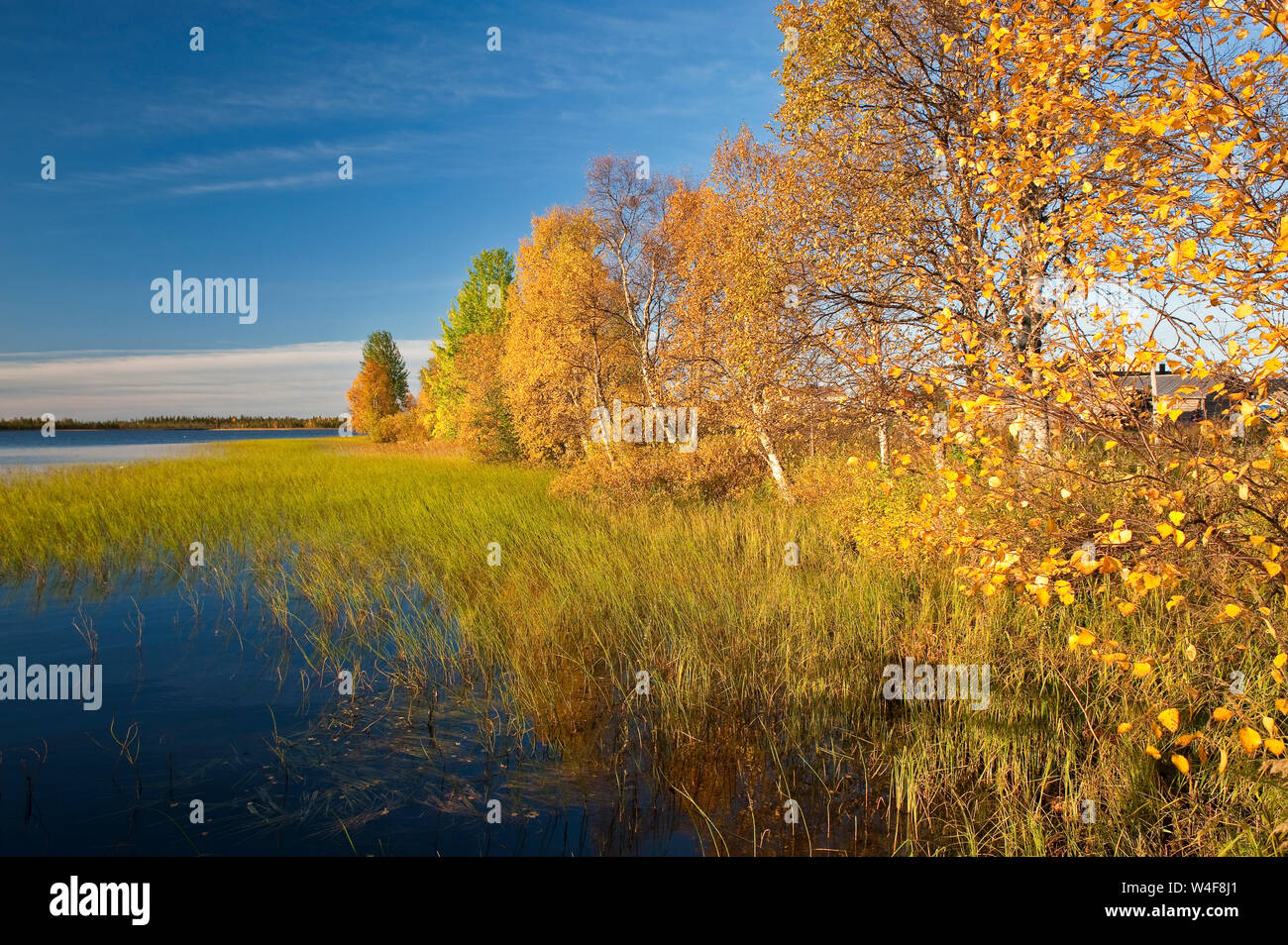 Betula lake hi-res stock photography and images - Alamy