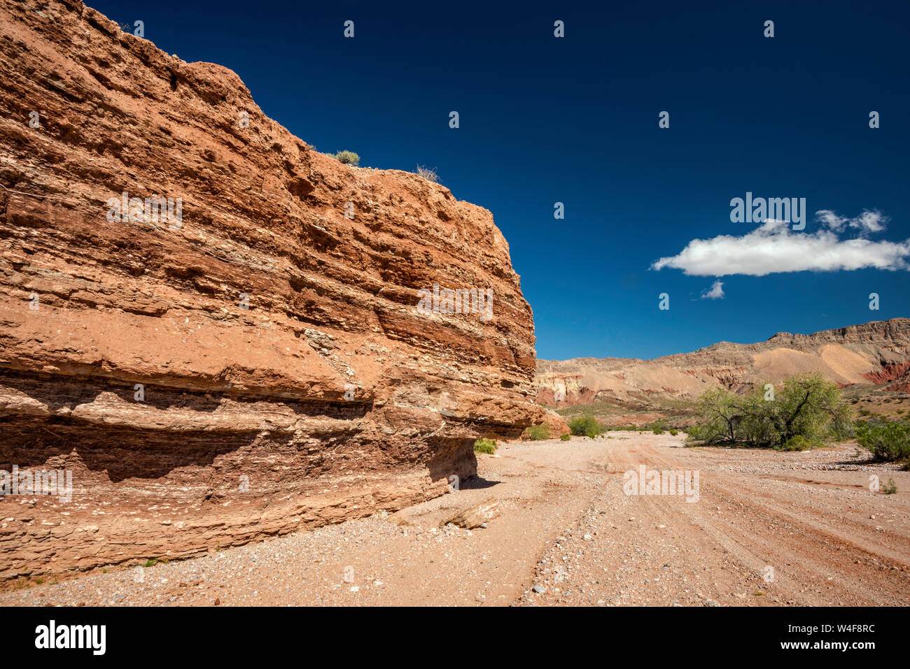 Jurassic sandstone cliff near Little Finland area, Gold Butte National ...