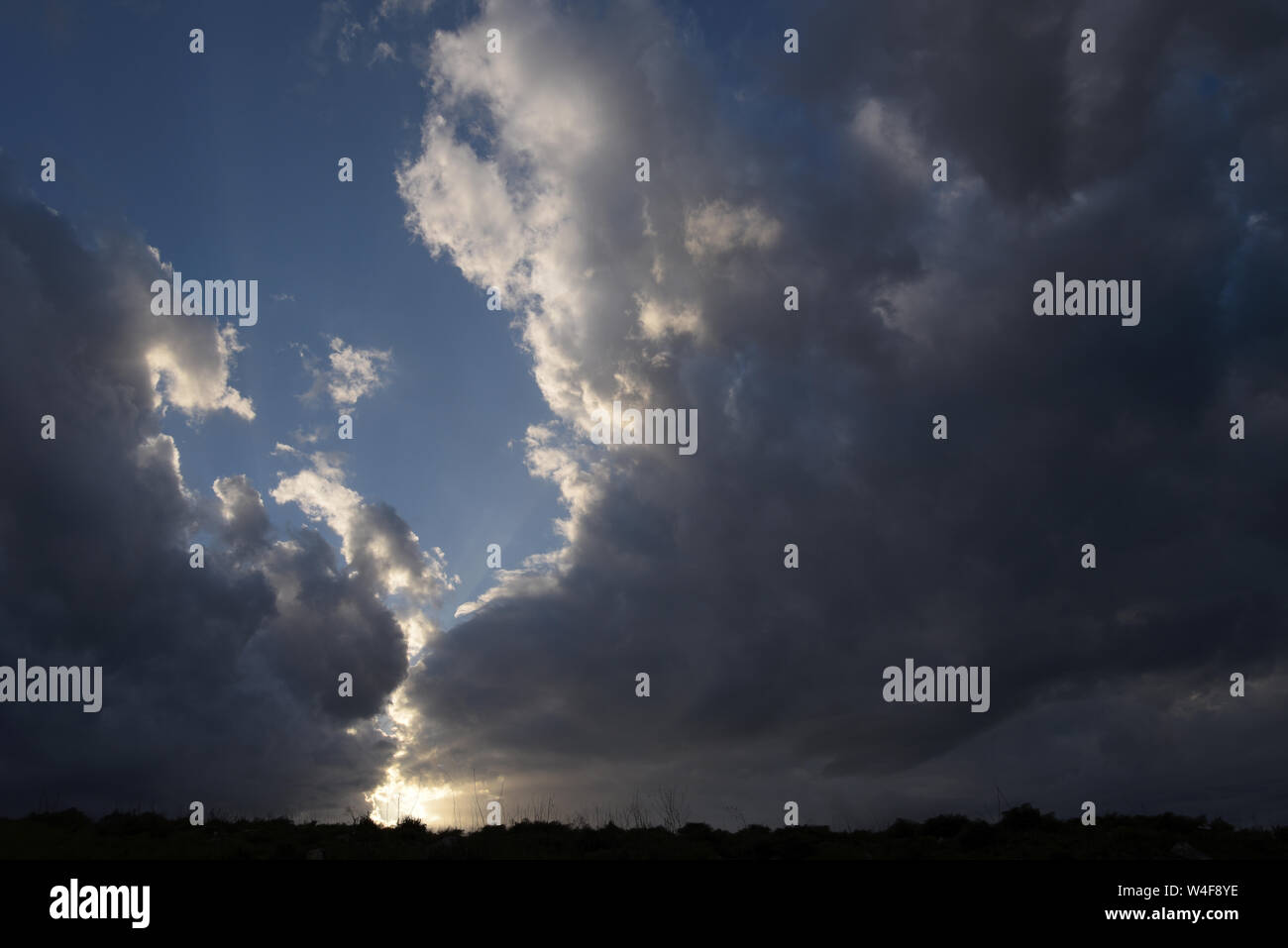 Cumulonimbuses cumulonimbi cloud clouds sky skies hi-res stock ...