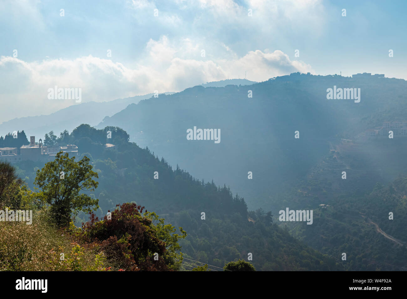 Sunset dawn valley with scenic trees in summer fog trees hi-res stock ...
