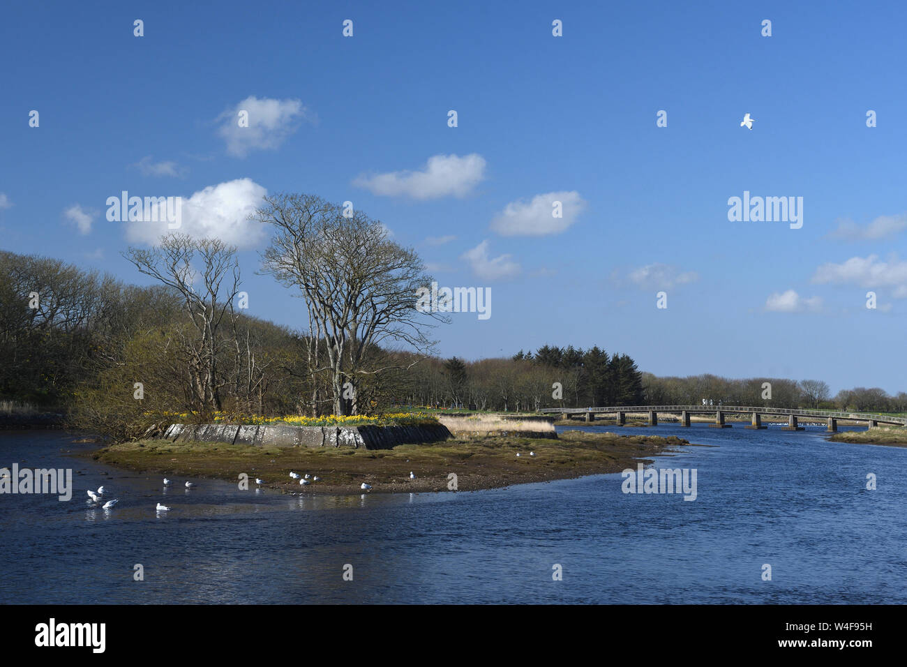 Coghill bridge hi-res stock photography and images - Alamy