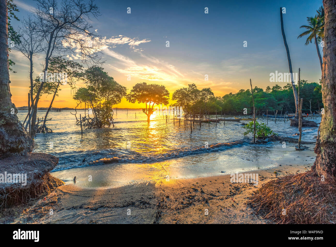 Coconut frame hi-res stock photography and images - Alamy