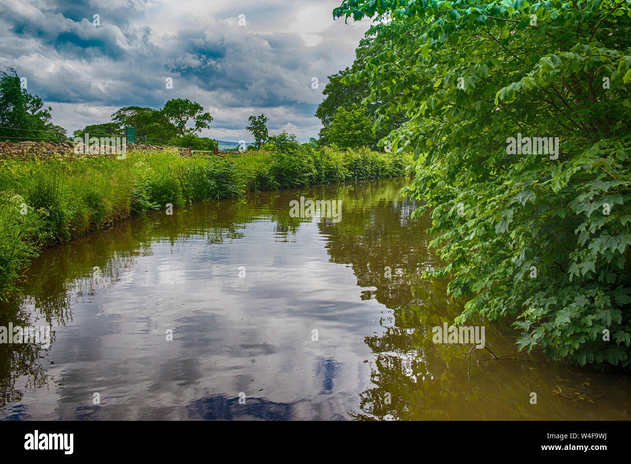 Rural english woods hi-res stock photography and images - Alamy