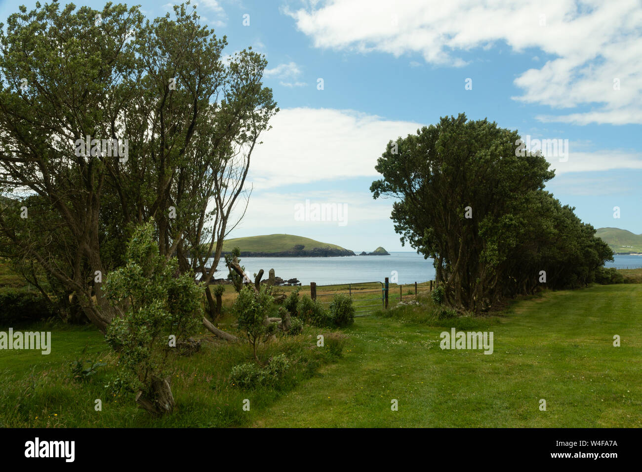 view to the Blasket Islands Stock Photo - Alamy