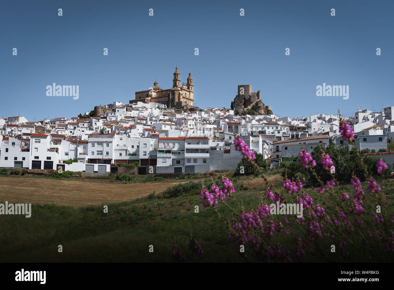 Olvera city with Castle and Cathedral - Olvera, Cadiz Province ...