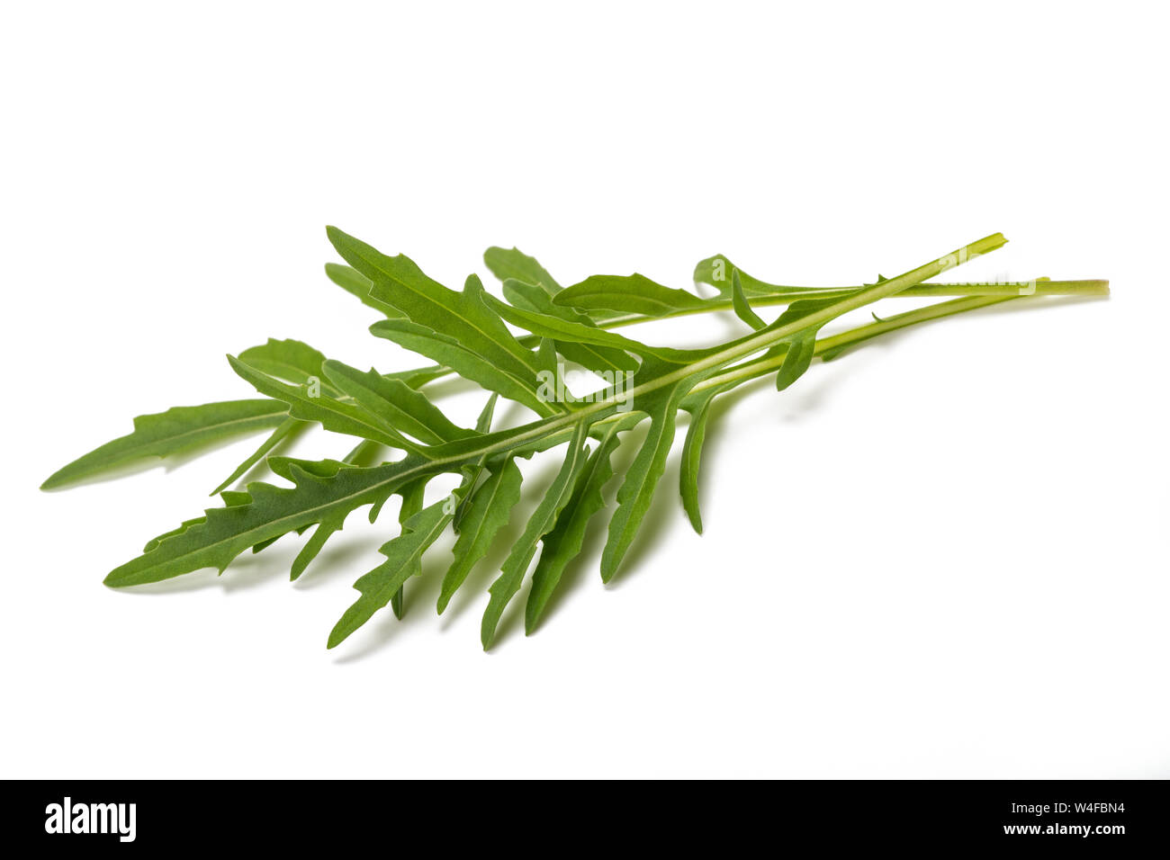 Bunch fresh rocket leaves hi-res stock photography and images - Alamy