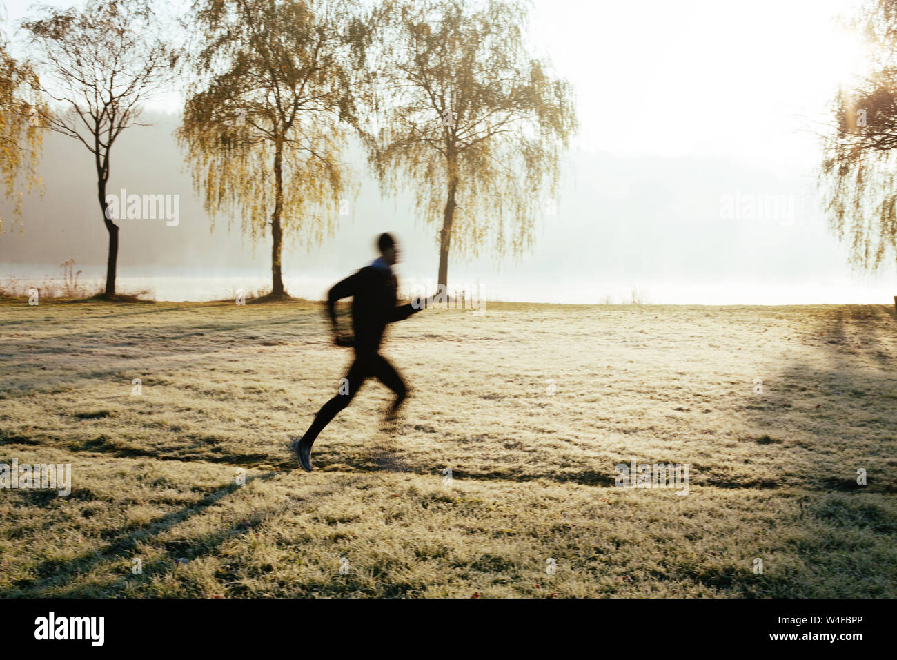 Shadow of athlete running at cold morning. Healthy lifestyle concept ...