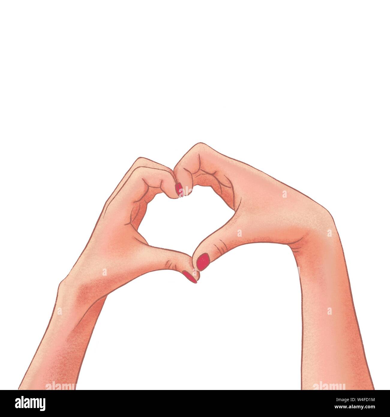 Drawn woman hands making a heart shape on a white background. Love sign ...