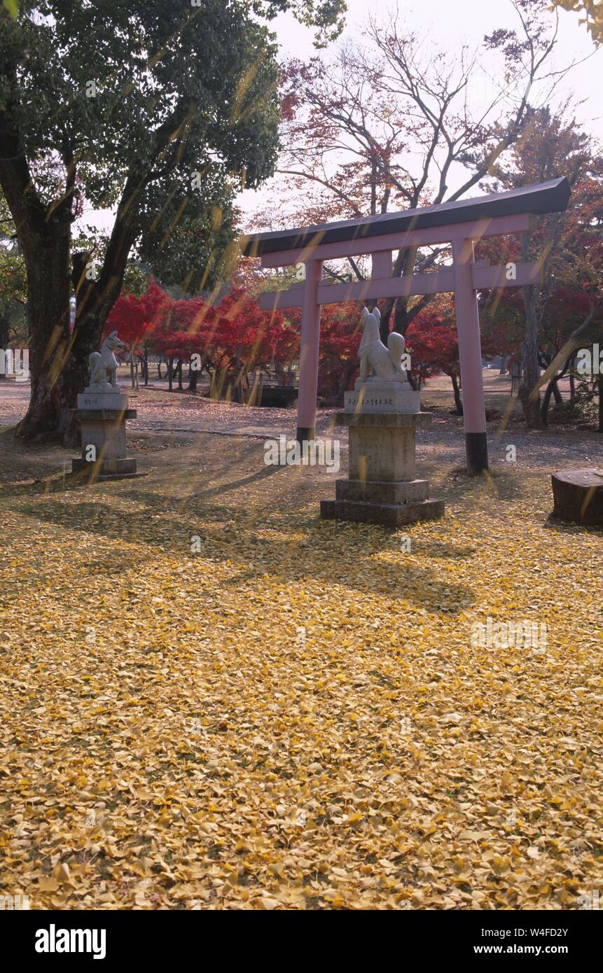 Japan, Honshu, Nara, Temple Torii Gate and Autumn Leaves Stock Photo ...