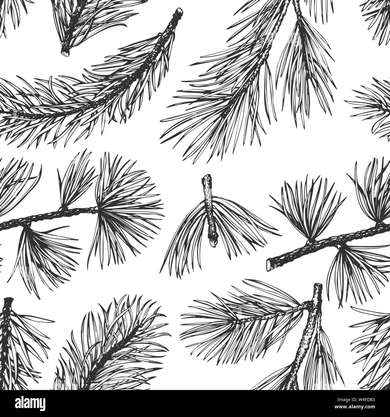 Pine Needle Drawing