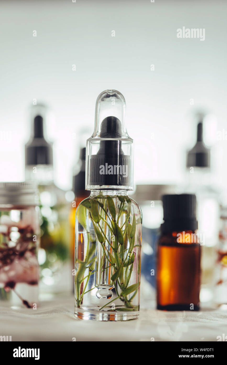 Transparent Bottles of essential oil with fresh herbs and flowers ...