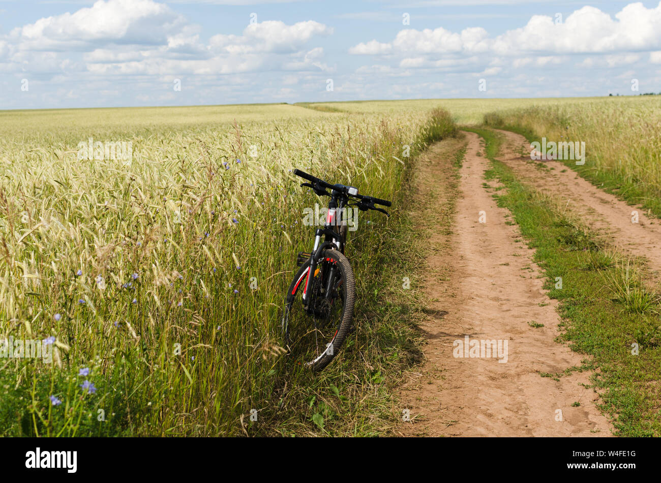 country road in wheat field and bike Stock Photo - Alamy