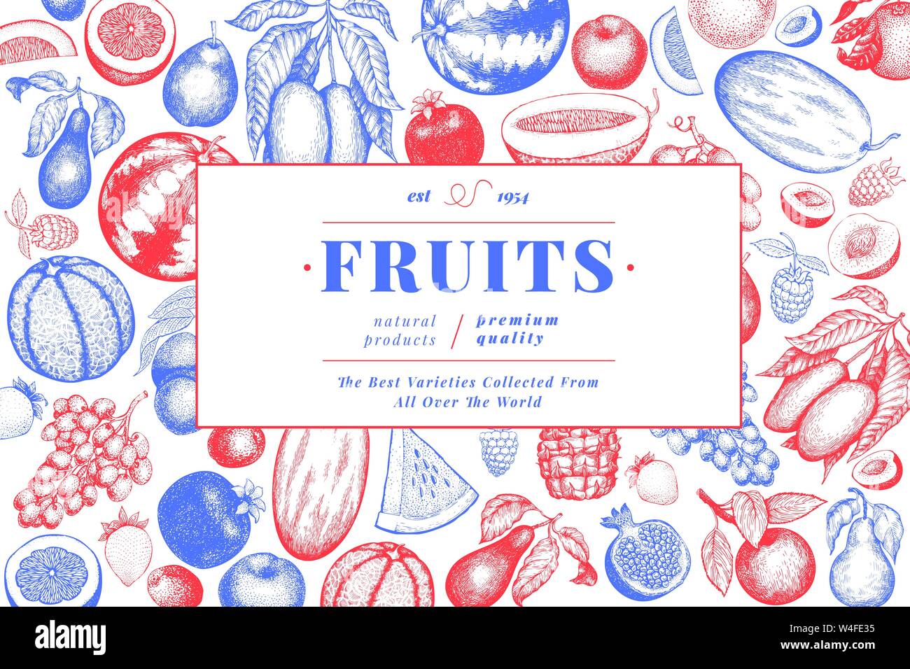Fruits and berries design template. Hand drawn vector tropic fruits ...