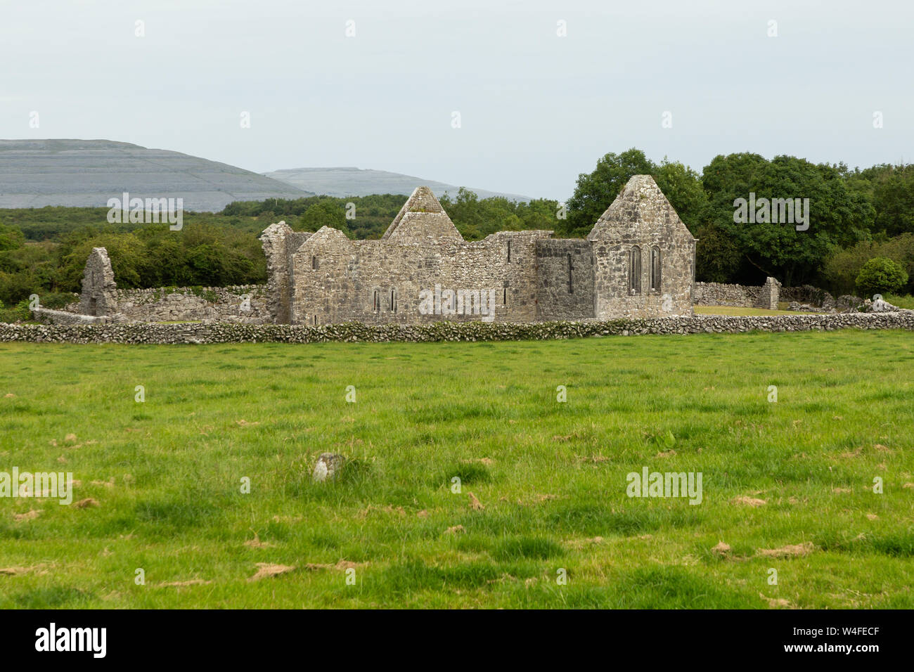 ruins of a church at the 11th century monastic site of Kilmacduagh ...