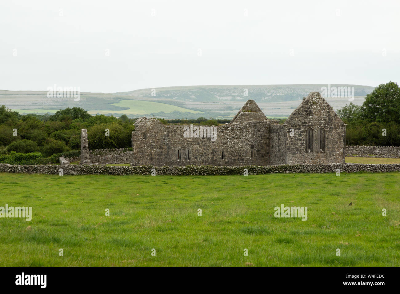 ruins of a church at the 11th century monastic site of Kilmacduagh ...