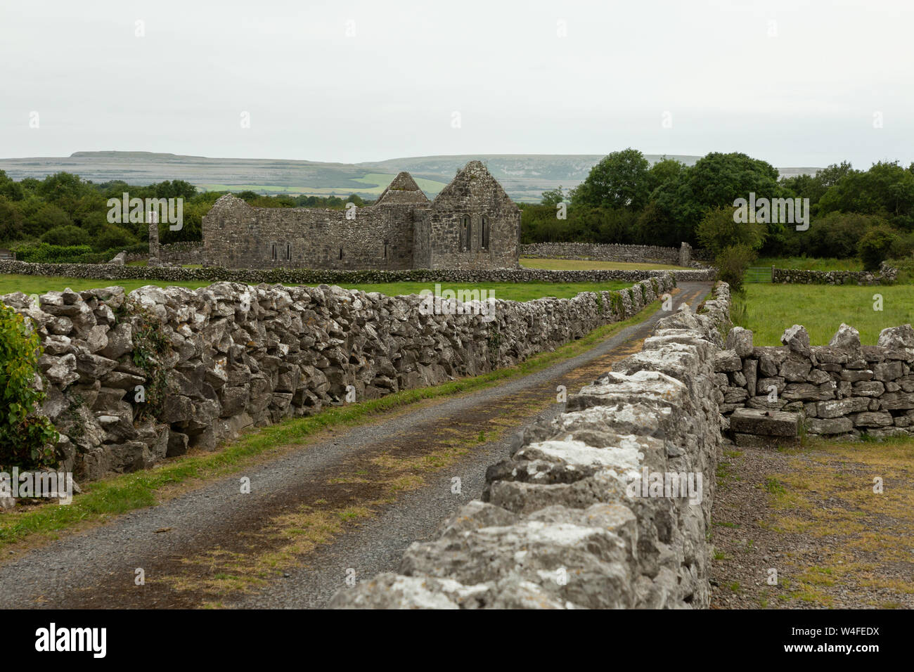 ruins of a church at the 11th century monastic site of Kilmacduagh ...
