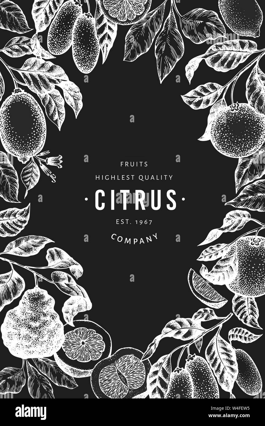 Citrus design template. Hand drawn vector colour fruit illustration on ...