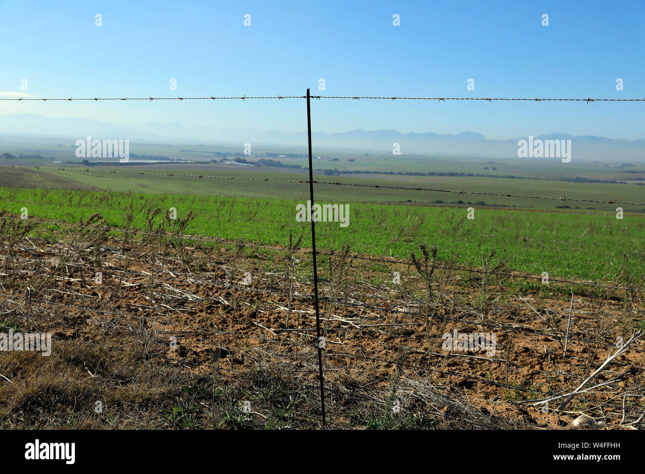 Farmland in the Boland region of the Western Cape Province of South ...