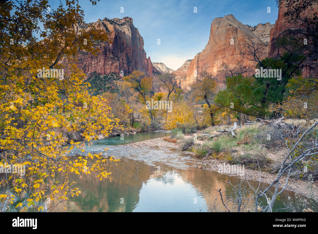 Zion virgin river plants hi-res stock photography and images - Alamy