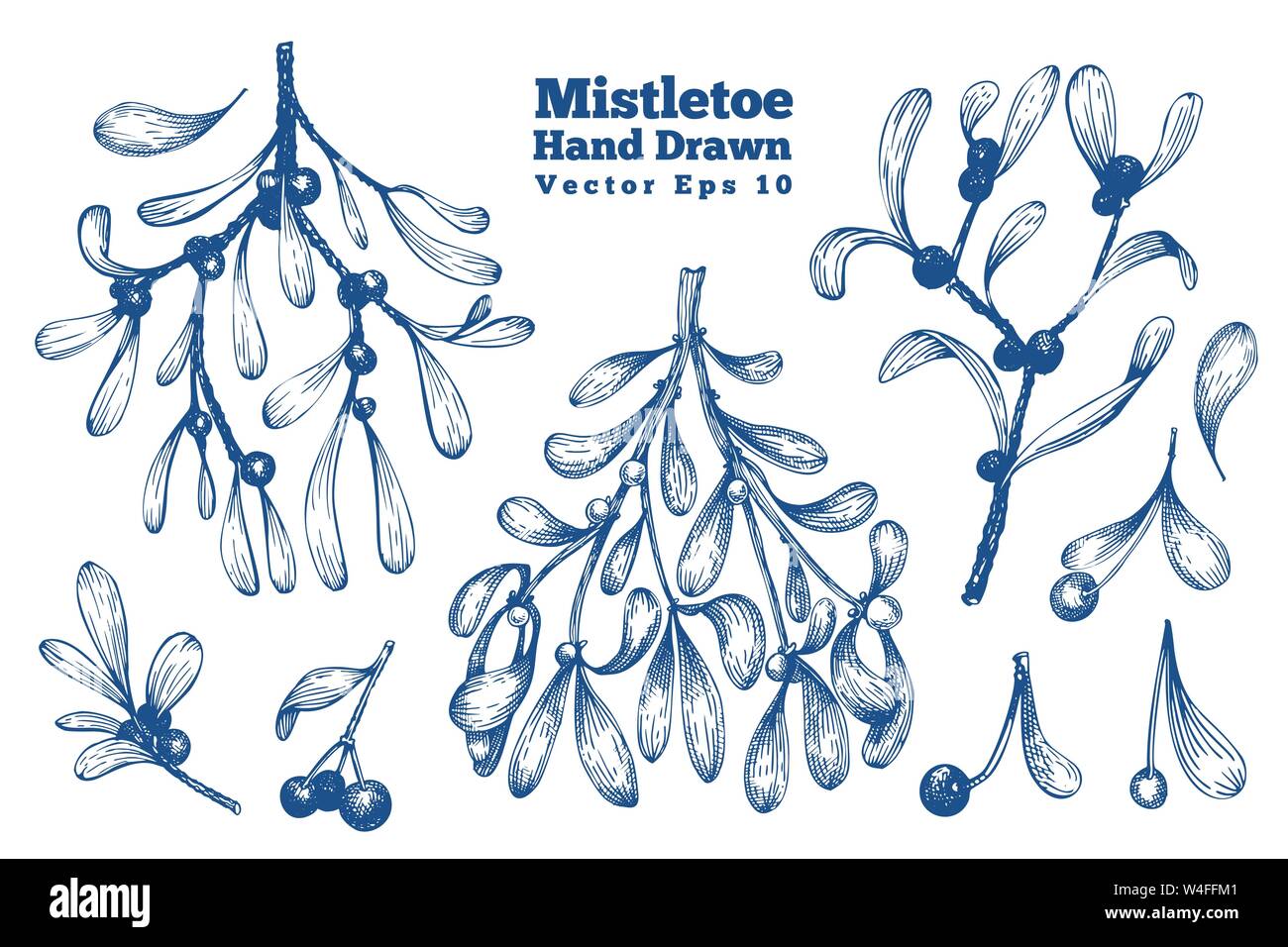 Mistletoe hand drawn branches vector illustrations set. Vintage style ...