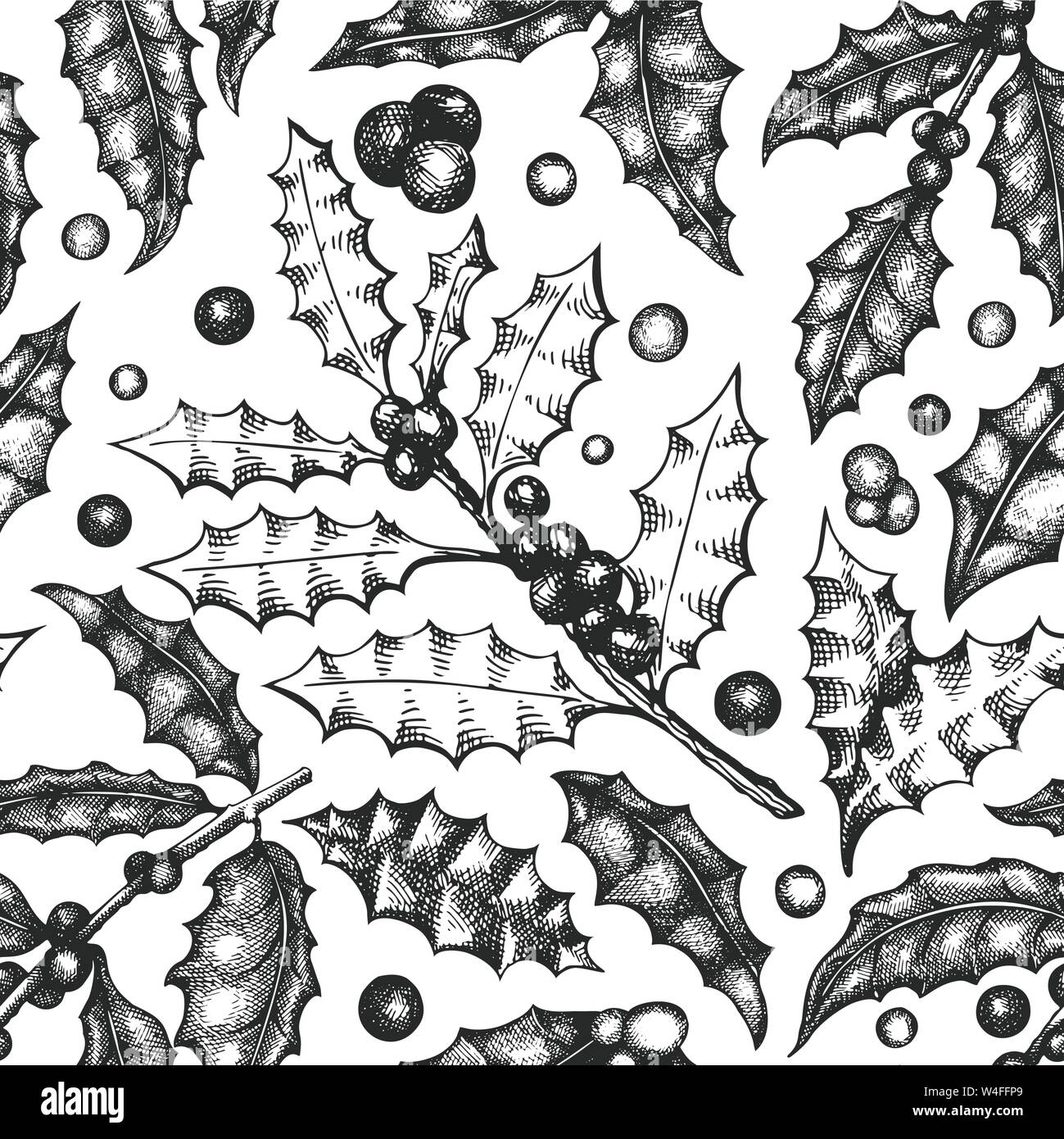 European holly vector hand drawn seamless pattern. Botanical background ...