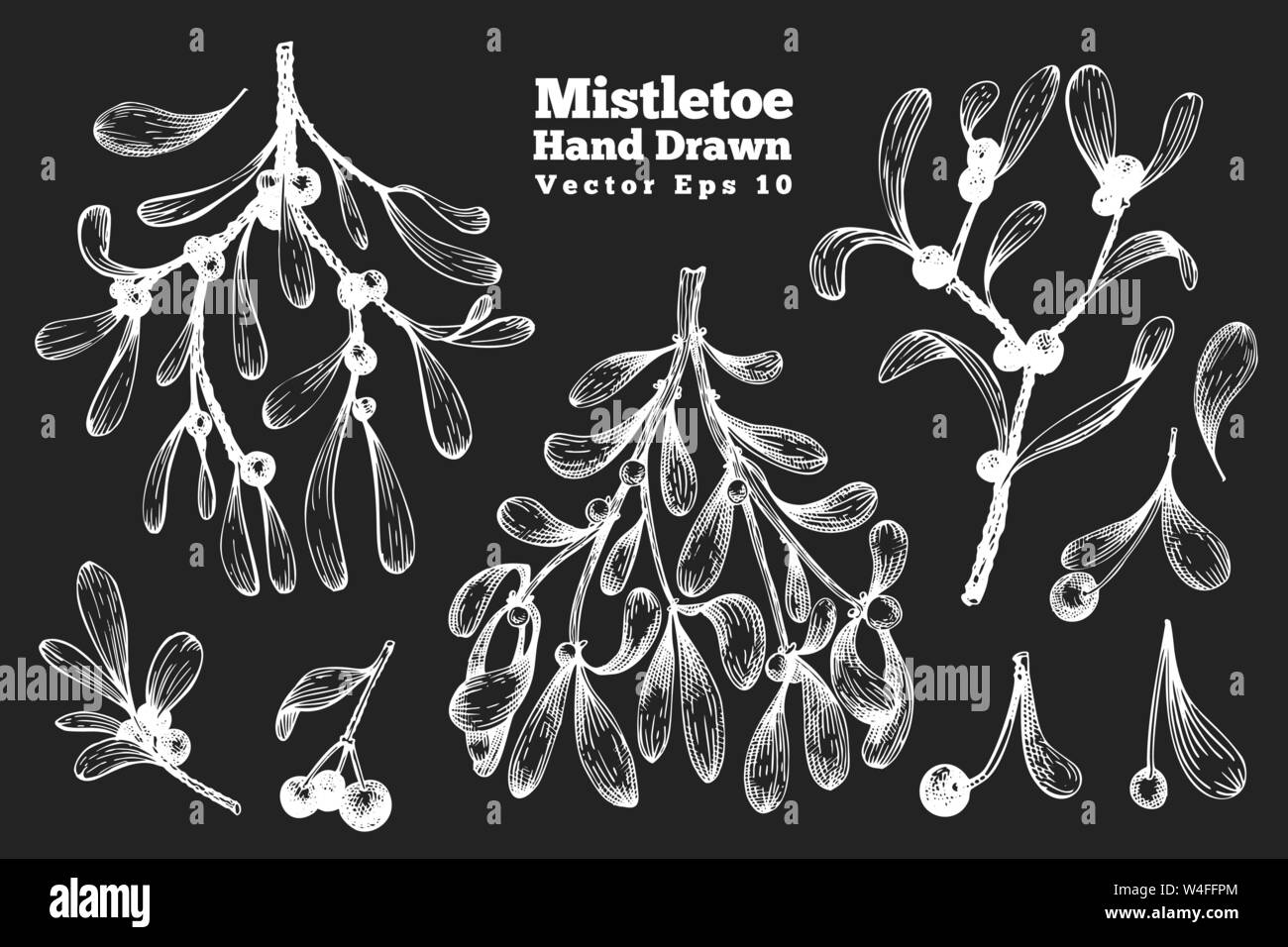 Mistletoe hand drawn branches vector illustrations set. Vintage style ...