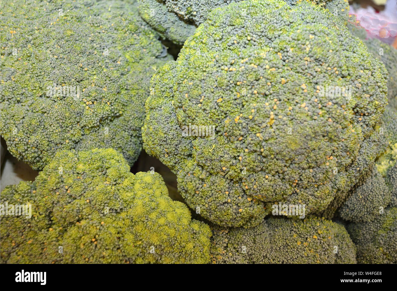 Broccoli european union hi-res stock photography and images - Alamy