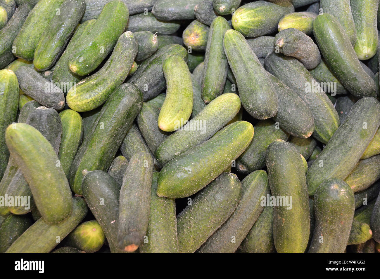 Cucumbers on the fruit and vegetable market Naschmarkt in Vienna ...
