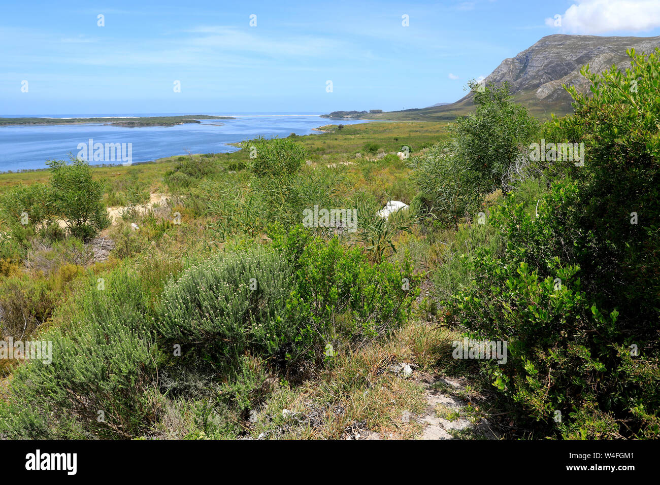 The mouth of the Bot River lagoon as it runs into the Atlantic ocean at ...