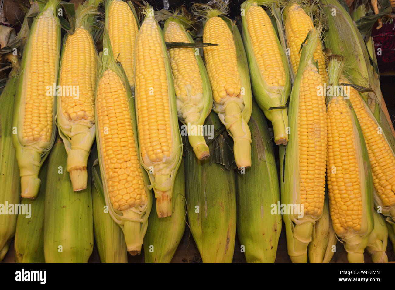 Corn on the fruit and vegetable market Naschmarkt in Vienna - Austria ...