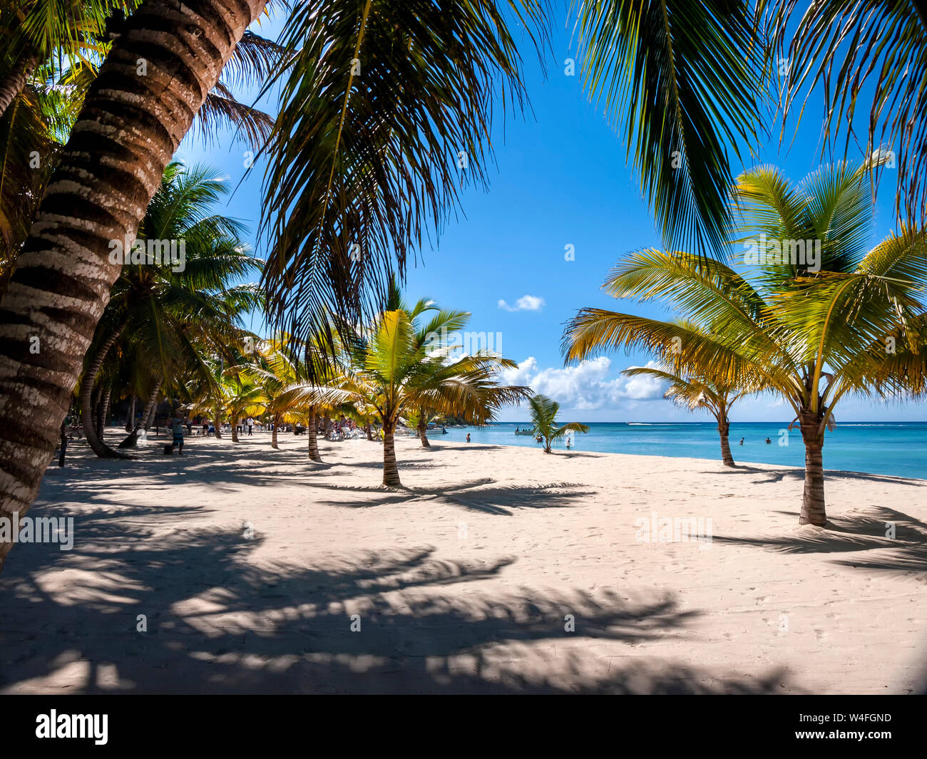 A relaxing shady part of a Caribbean beach showing azure sea deep blue ...