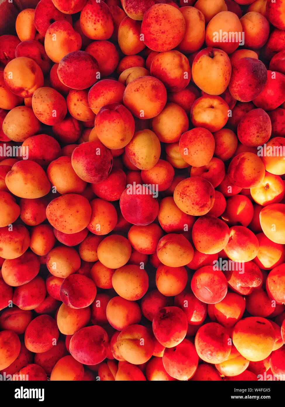 Flat lay composition of apricot background. Flat lay, top view copy ...