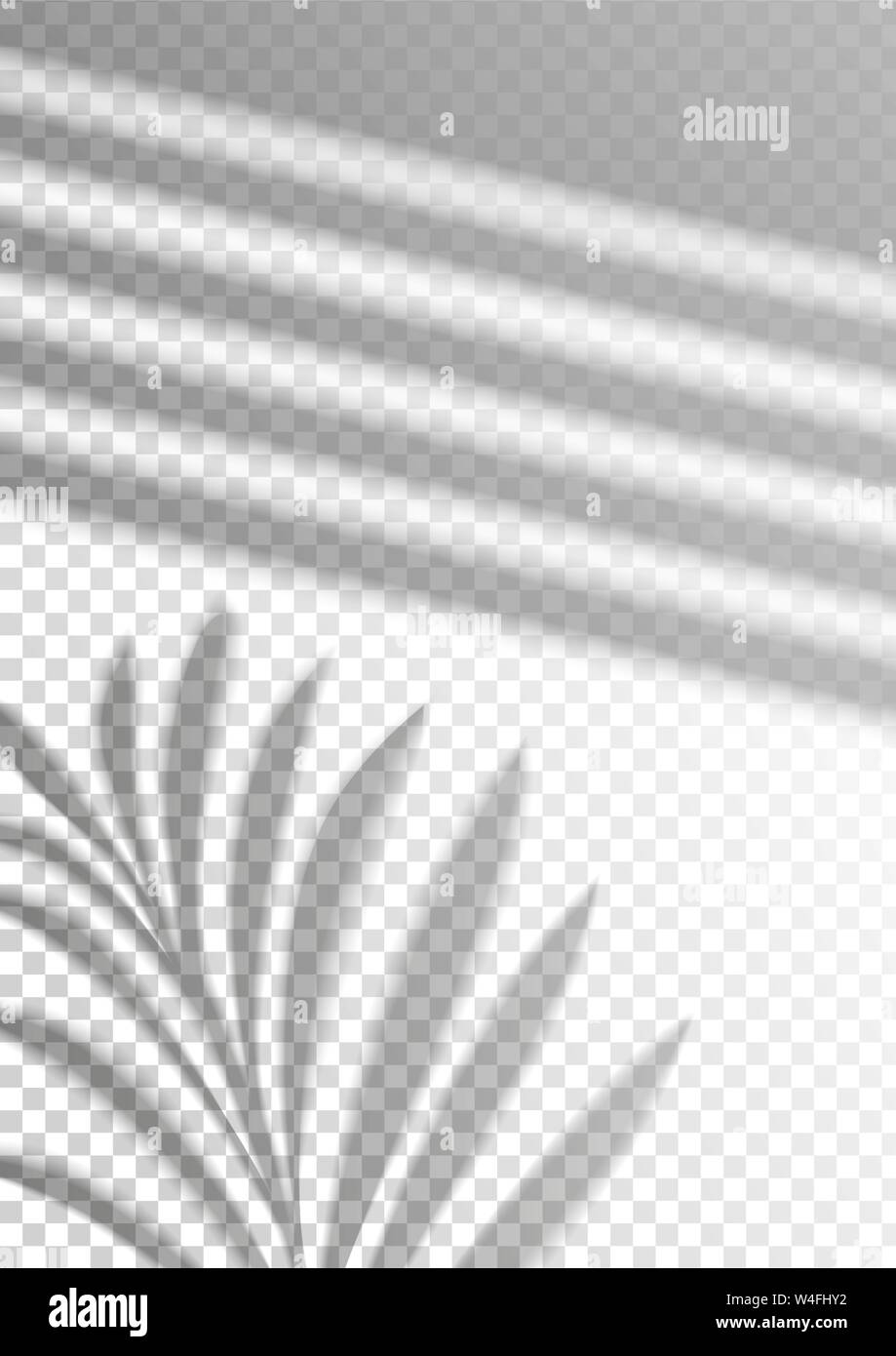 The transparent shadow overlay effect. Tropic leaf Stock Vector Image ... The transparent shadow overlay effect. Tropic leaf Stock Vector Image ...