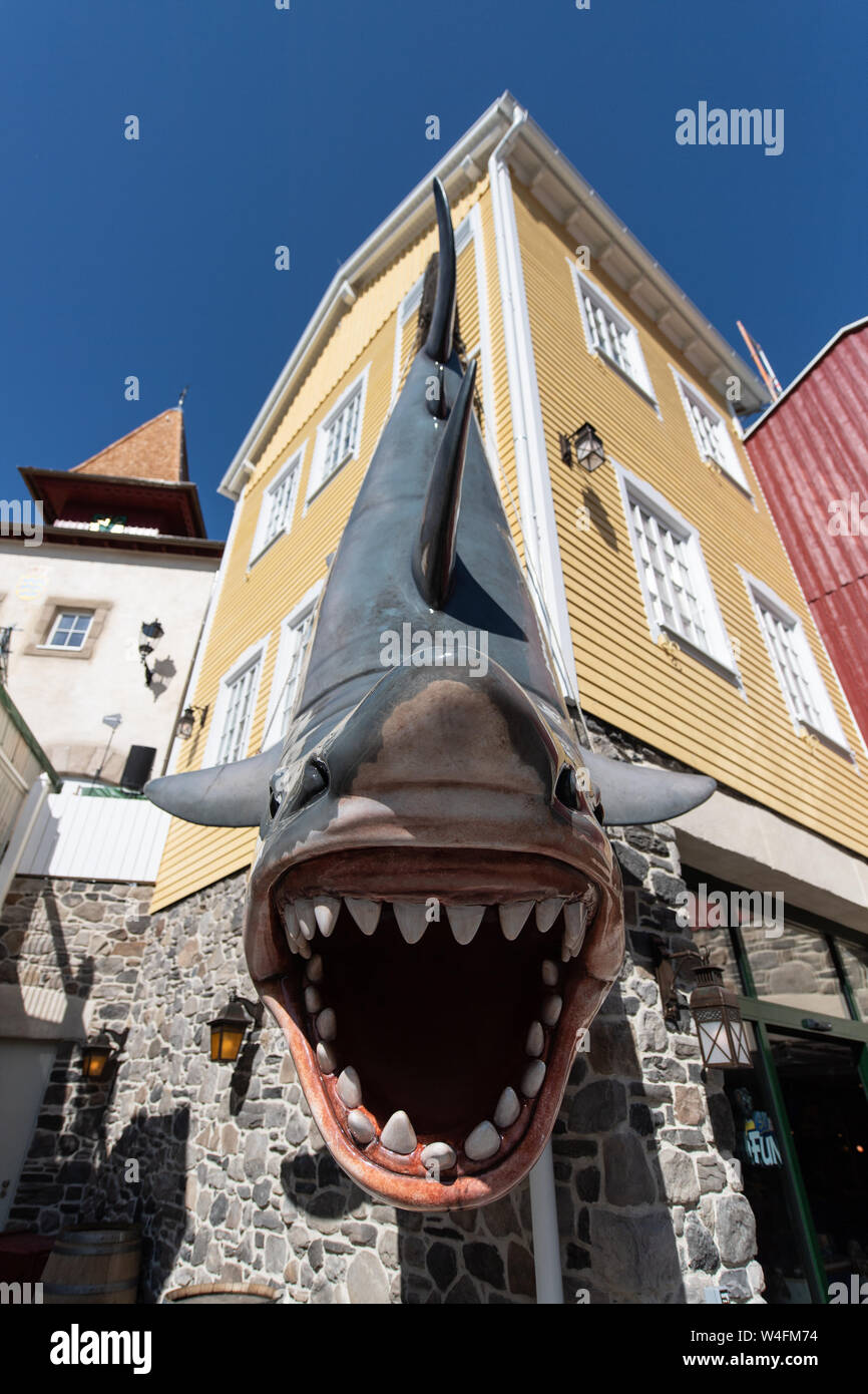 Rust, Germany. 23rd July, 2019. a giant shark hangs on a new building ...