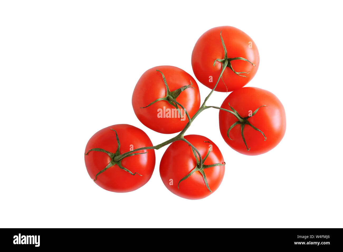 Five red tomatoes on a branch. White isolate. View from above Stock ...