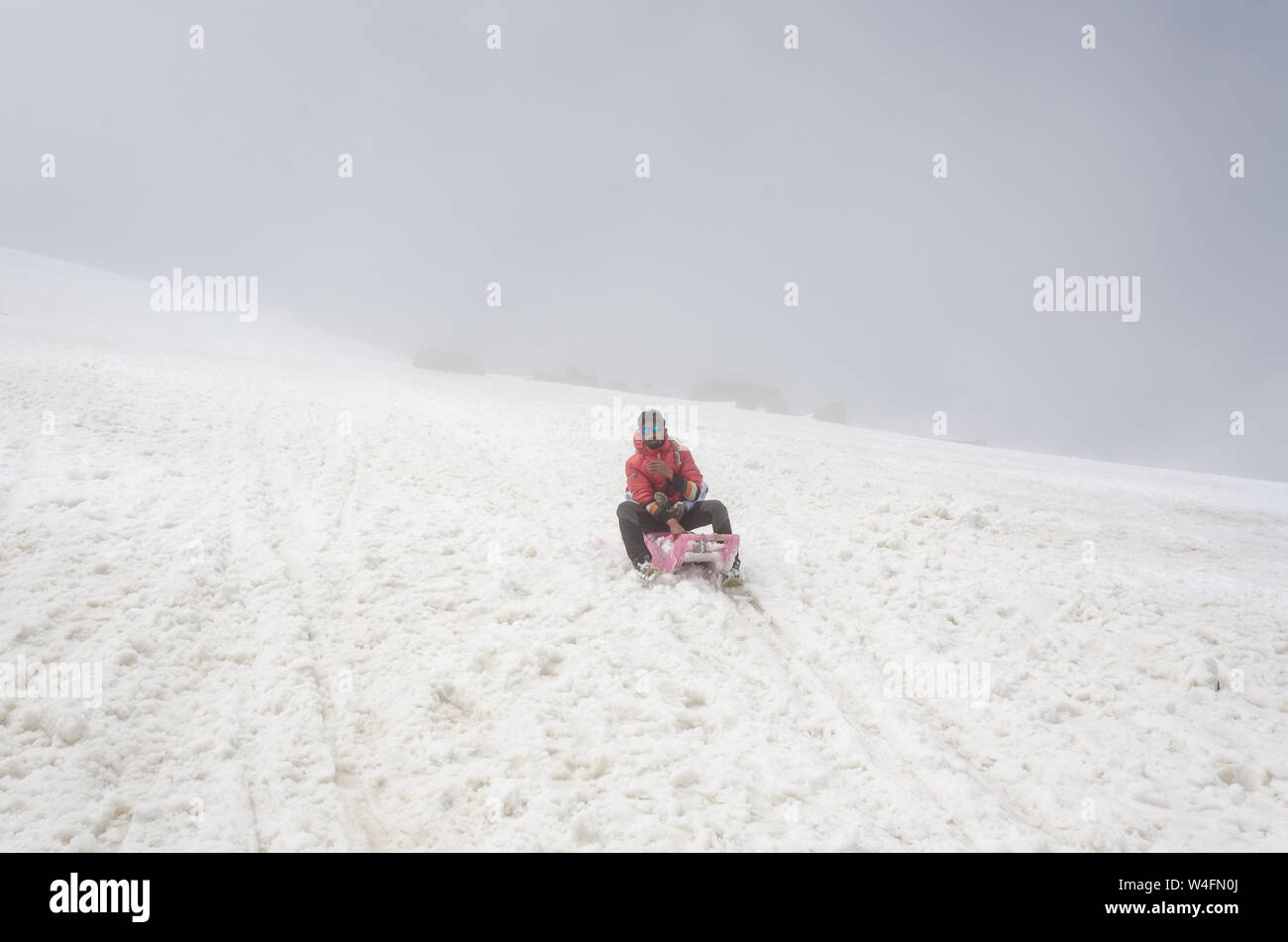Sledging at Gulmarg Gondola Phase 2 / Apharwat Peak, Gulmarg, Jammu and ...