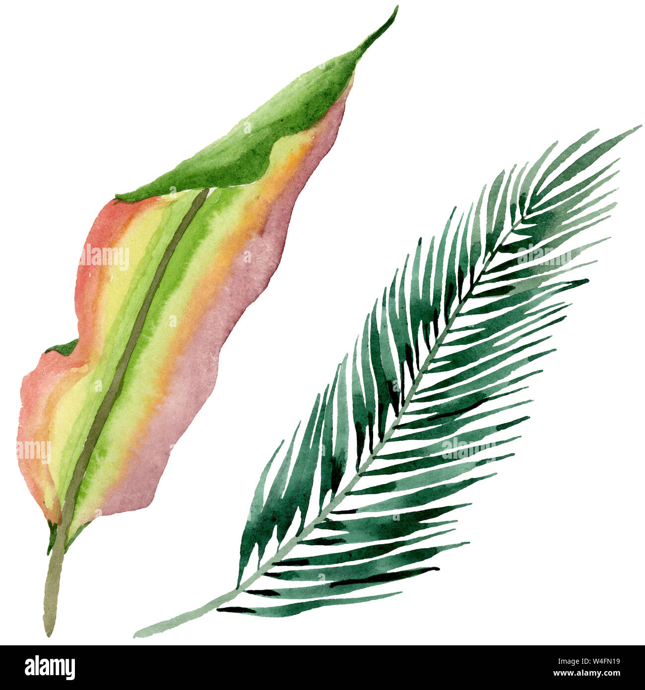 Exotic tropical hawaiian summer. Palm beach tree leaves jungle ...