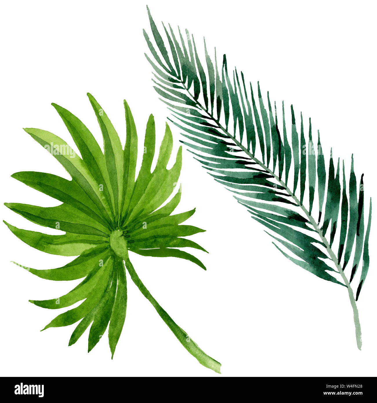 Exotic tropical hawaiian summer. Palm beach tree leaves jungle ...