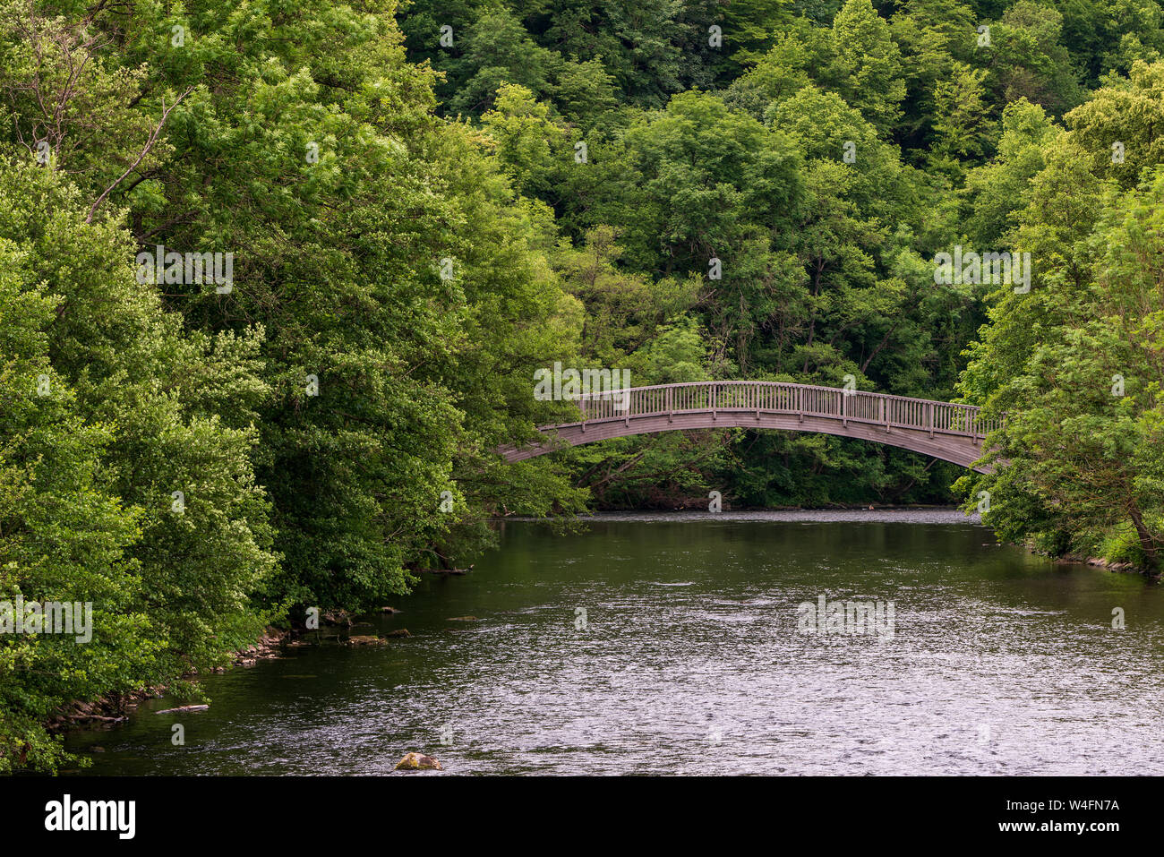 Heimbach forest hi-res stock photography and images - Alamy