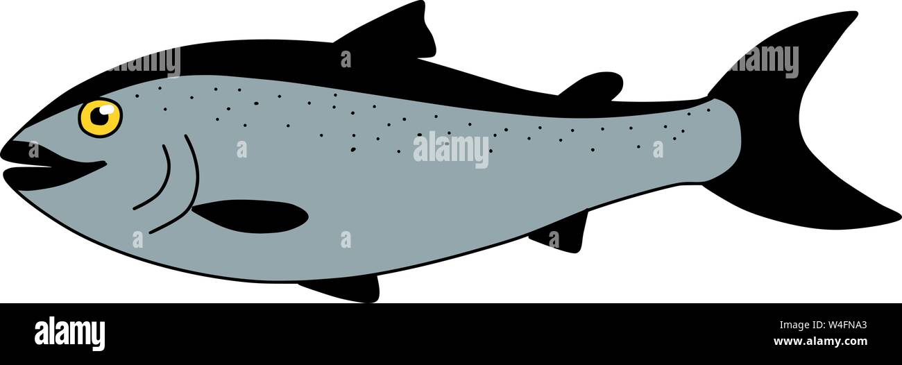 Salmon Fish Color Vector Cartoon Nature Sea Animal Illustration Stock ...