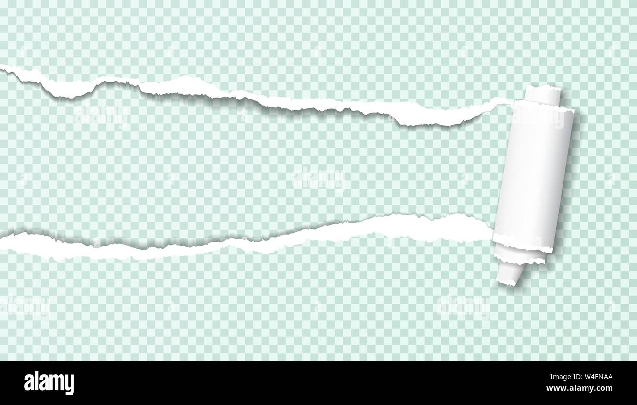 Rolled and ripped green squared notebook paper. Background for text or ...