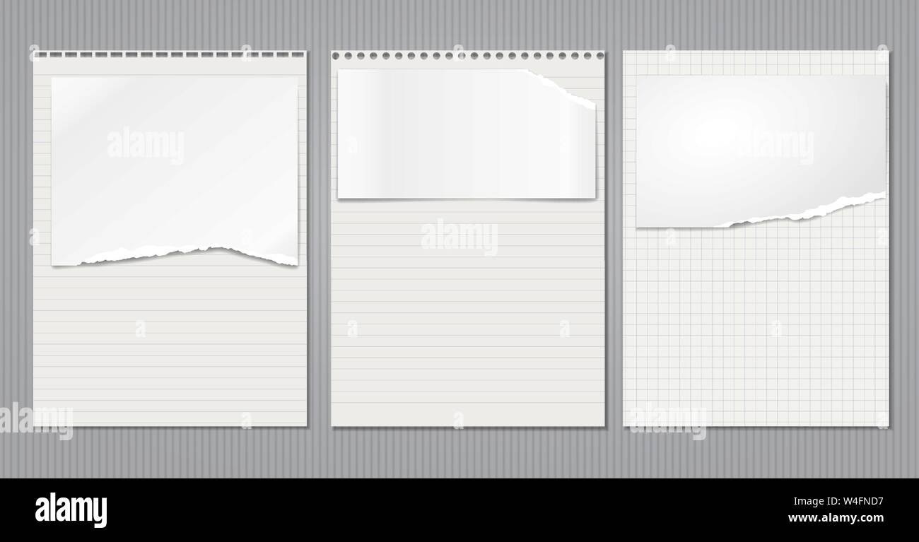 Set of torn note, notebook lined, blank and squared paper sheets, strips are on lined background ...