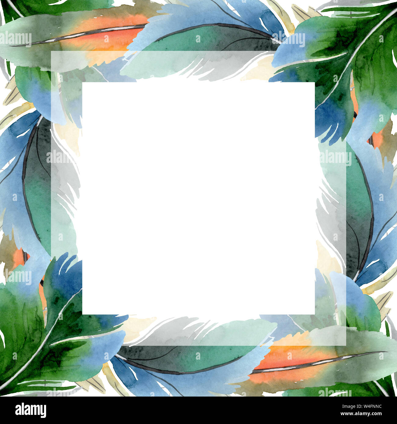 Colorful bird feather from wing isolated. Watercolor background ...