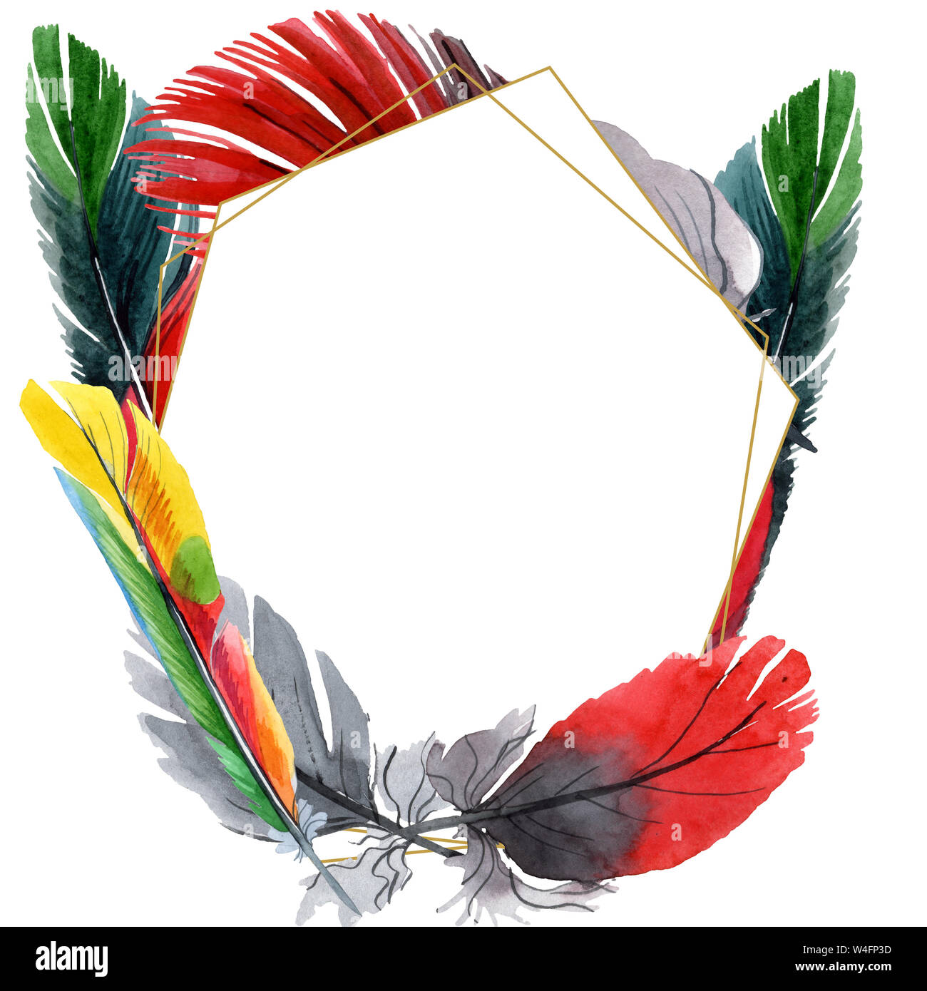 Colorful bird feather from wing isolated. Watercolor background ...