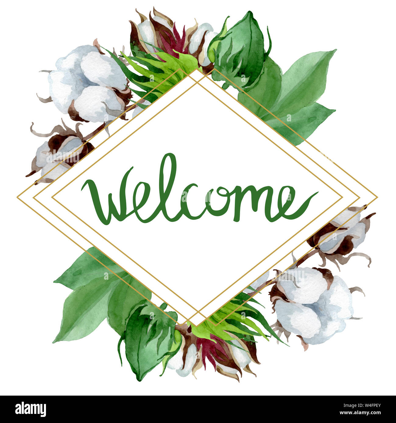 White cotton floral botanical flower. Wild spring leaf wildflower ...